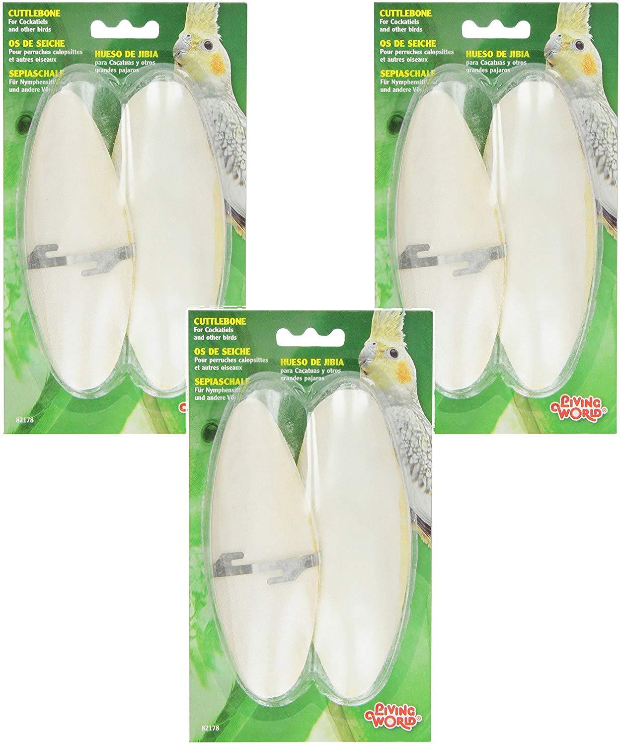 (3 Pack) Living World Cuttlebone, grande, 6 Total cuttlebones ...